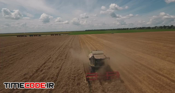 دانلود استوک فوتیج : کمباین در حال درو محصول Aerial Shot Of Combine ... دانلود استوک فوتیج : کمباین در حال درو محصول Aerial Shot Of Combine ...