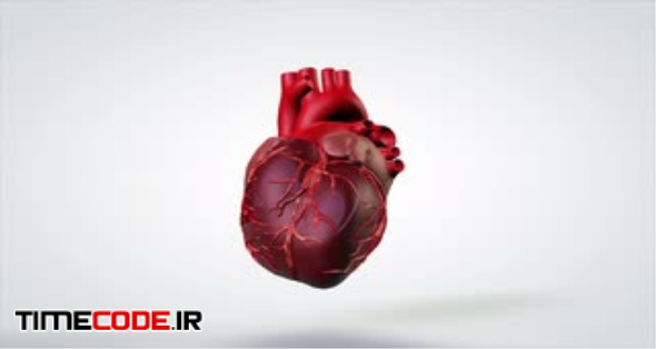 دانلود انیمیشن قلب Human Heart Rotation Animation Medical Concept K ...
