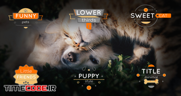 دانلود پروژه آماده افترافکت : تایتل Title Pets – تایم کد