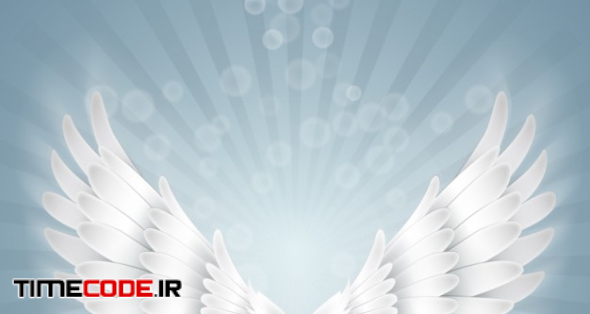 دانلود وکتور بال فرشته Bright Angel Wings – تایم کد